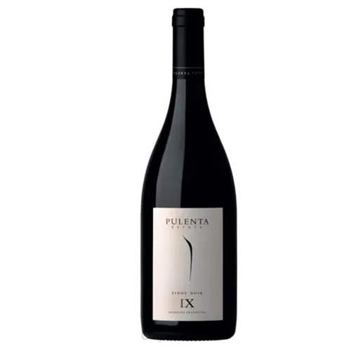 Pulenta Gran Pinot Noir - Appetit Boutique